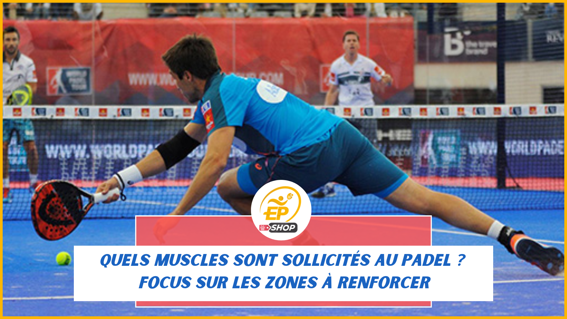 Muscles padel : zones clés à renforcer pour progresser